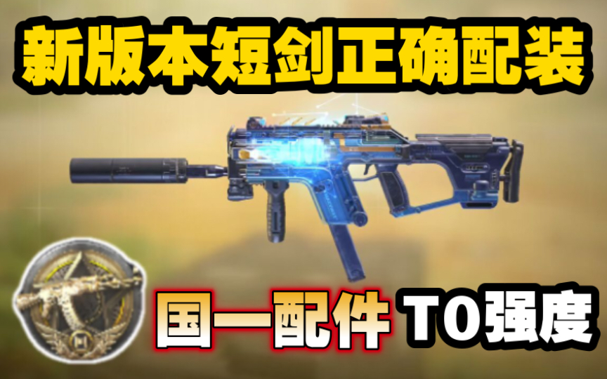 新版本短剑正确配装思路!国一配件T0强度_使命召唤