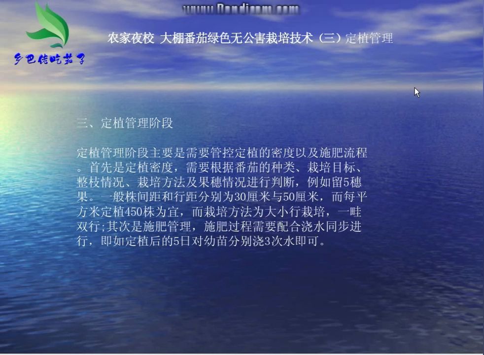 农家夜校120 大棚番茄绿色无公害栽培技术(三)定植管理