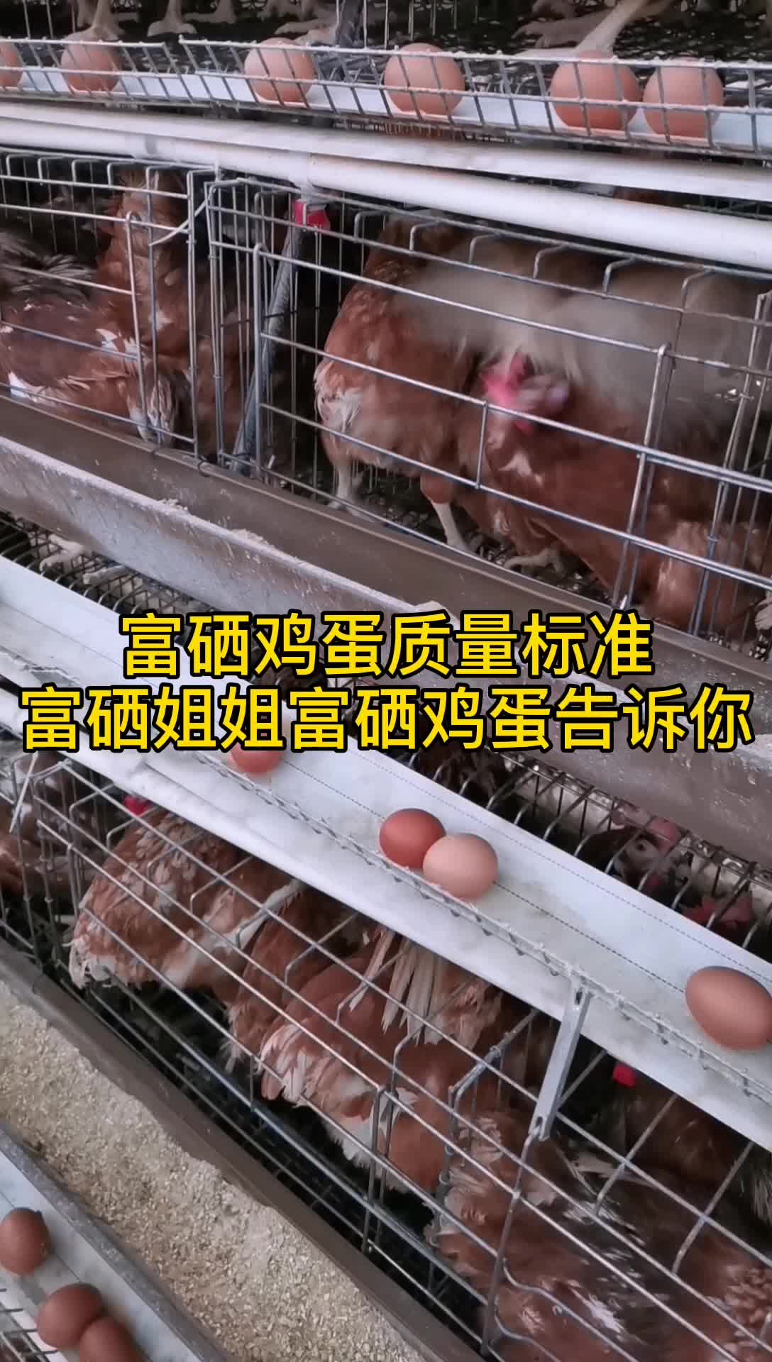 富硒鸡蛋质量标准,富硒姐姐富硒鸡蛋告诉你