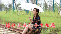 《缘分让我们今生相遇》感恩遇见,感谢有你!