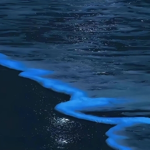 你说三十岁 