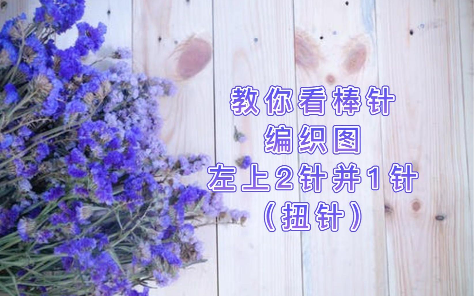 教你看棒针编织图-针法符号-左上2针并1针(扭针)