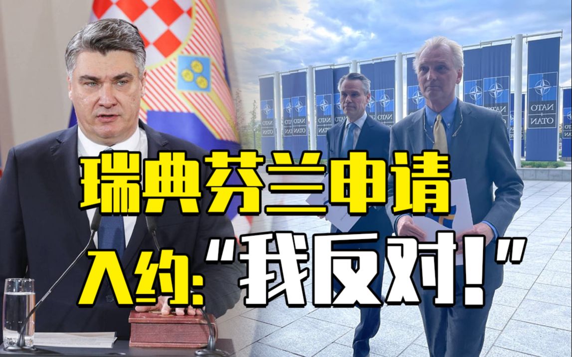 瑞典芬兰申请加入北约,这个国家比土耳其反对的还早