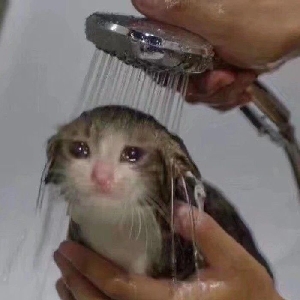 悲伤终归是自己的 