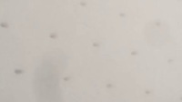 乳胶床垫怕打出大量白色粉末