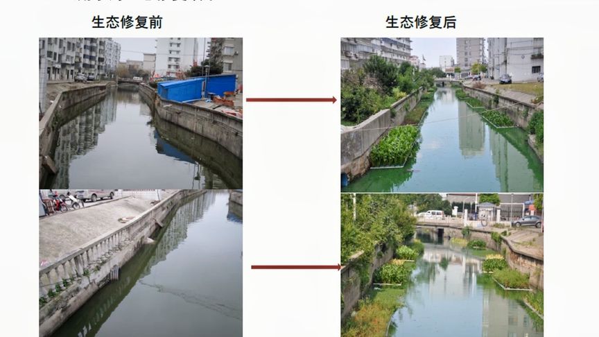 生态河道治理技术