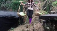 20多年没有挑过畚箕,怎么感觉那么沉呀