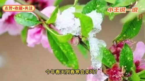 "倒春寒有没有,就看立春",明日立春,今年春天倒春寒会来吗