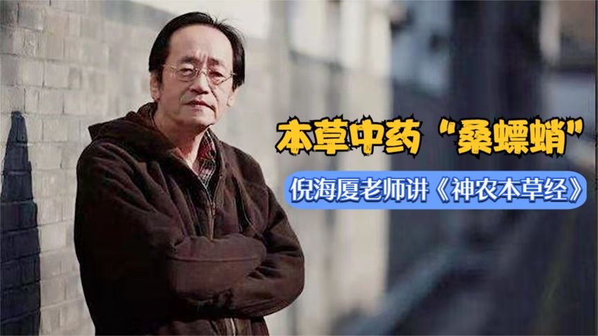 本草中药”桑螵蛸“倪海厦老师讲《神农本草经》