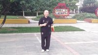 武清 亨通 冯大大(太极拳)