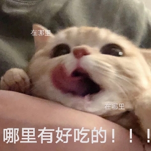 借一小麦 