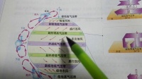 三圈环流 气压带与风带