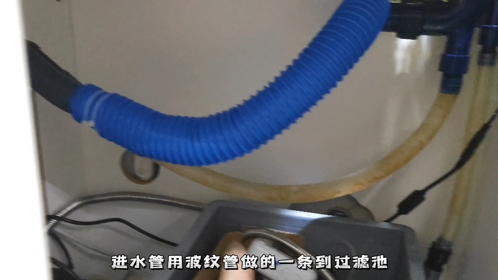 让养鱼变得更简单,一米五异型鱼缸,自制循环过滤系统