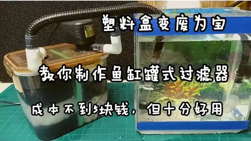 教你用塑料盒制作鱼缸罐式过滤器,过滤功能强大,十分好用