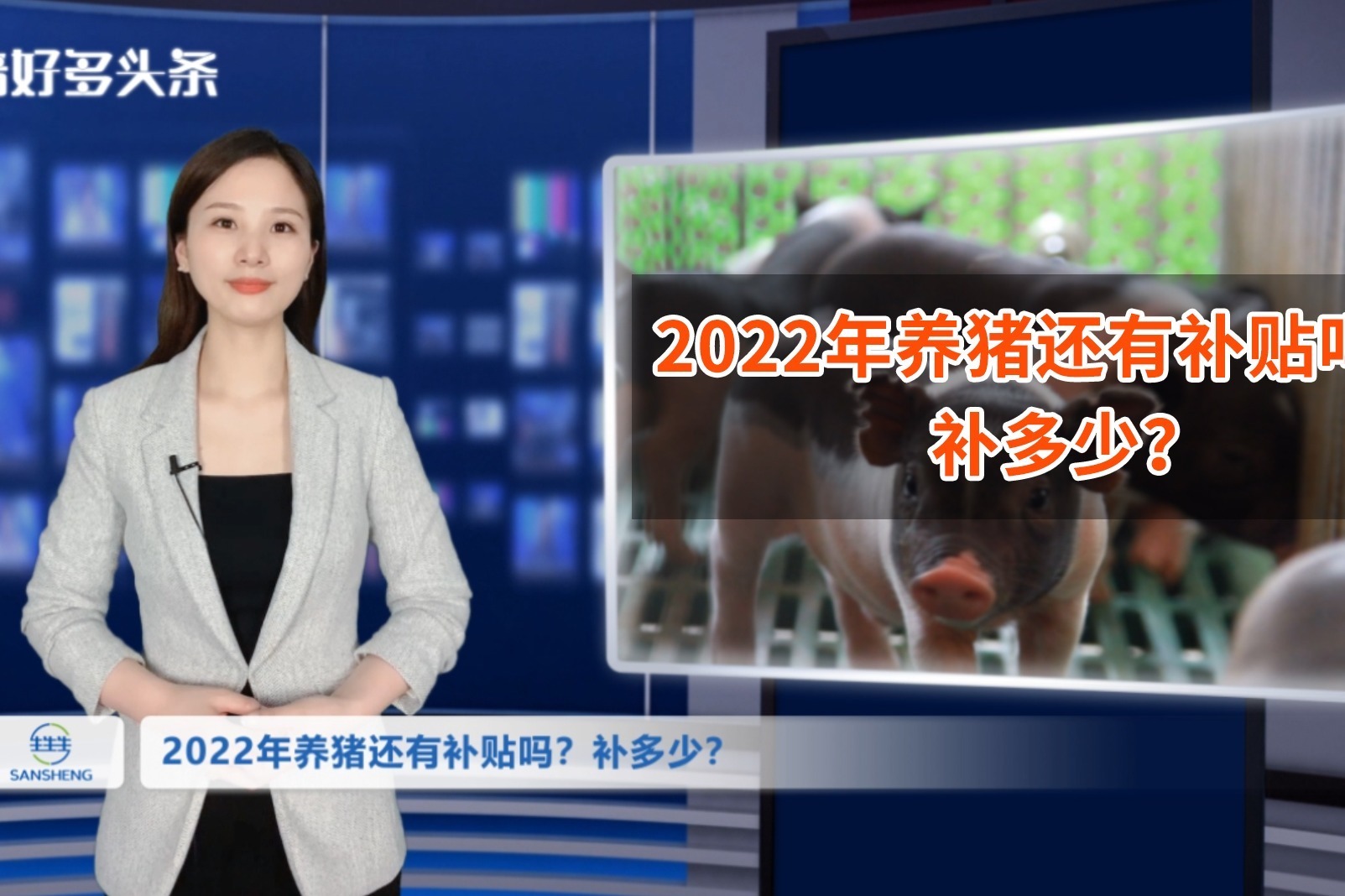 不看不知道,50头猪也有补贴?2022养猪补贴大汇总!