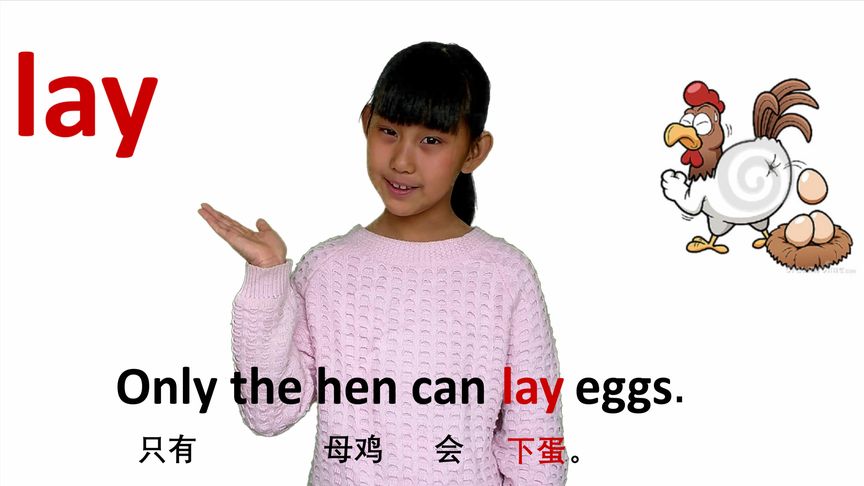 形容词与动词 lay 下蛋 牛津初高中小学少儿童英语单词和句子 4K
