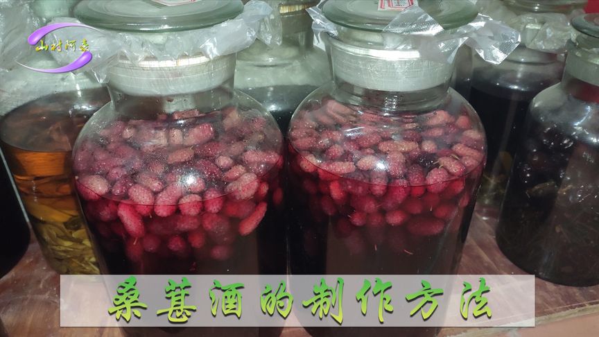 农家自酿桑葚酒的制作方法 做法简单好喝 自制果酒泡法 桑果泡酒