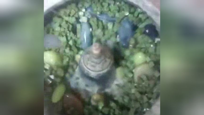 小件玉石打磨,是玉器加工时完成的最后一道工序,像不像榨果汁?