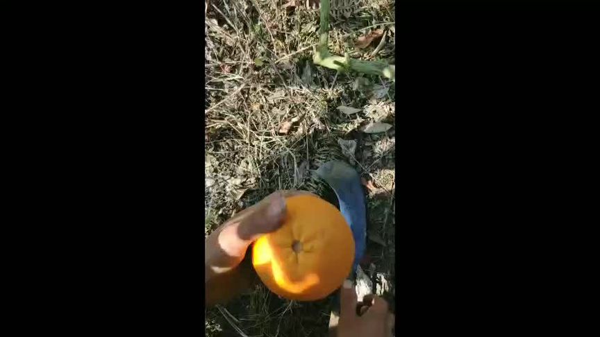 农村人削水果的刀太特别了