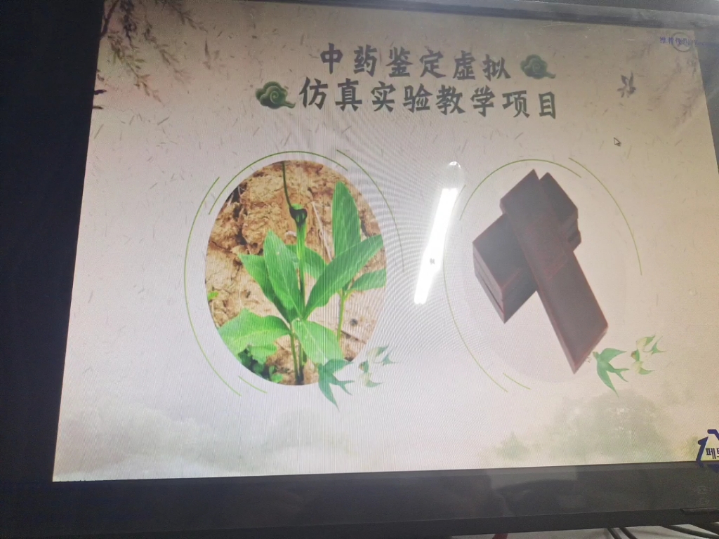 中药鉴定学仿真模拟实验