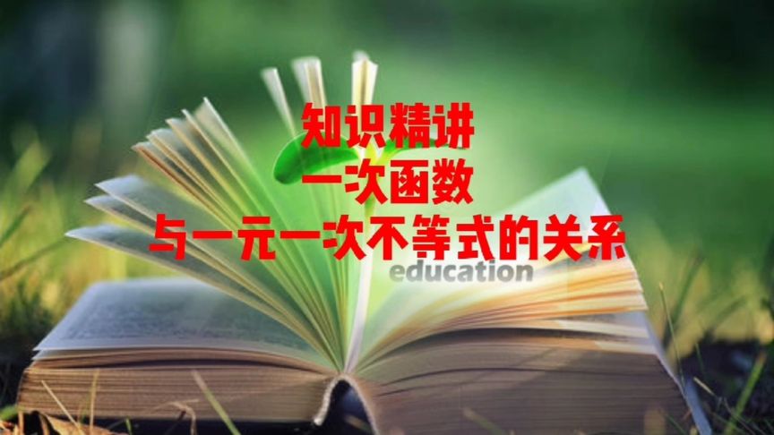 知识精讲——一次函数专题(与一元一次不等式的关系)