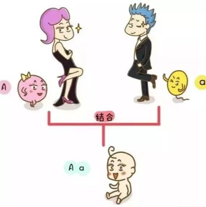 滨小医说遗传 
