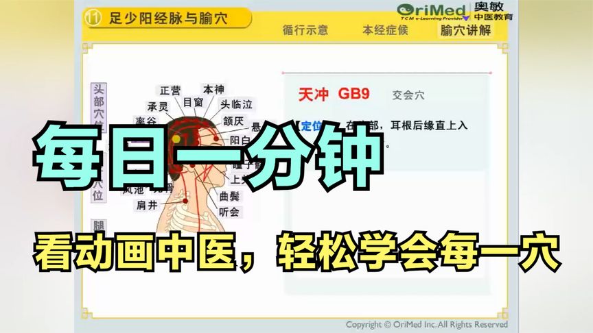 动画中医;穴位经络-胆经-天冲穴