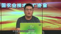 (25)真菌性病害的分类及区分方法