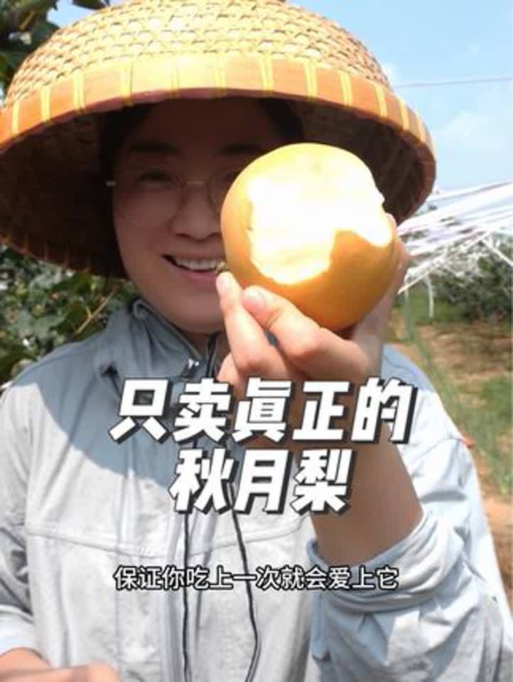 秋月梨细腻无渣,汁水很足,吃一口馋一年,大家一定不要错过啦 #新鲜应季水果 #秋月梨