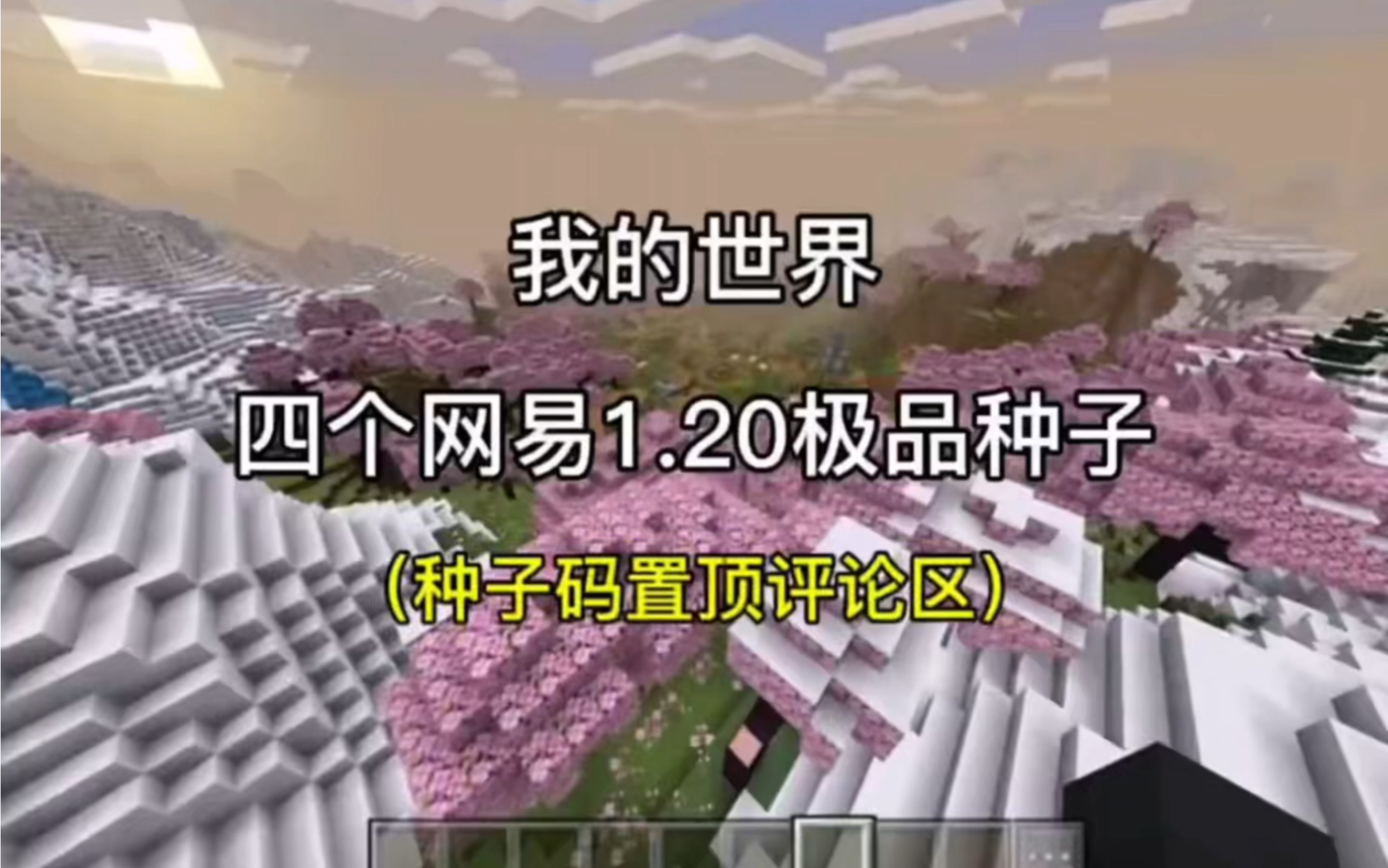 四个网易极品种子推荐码放在简介_我的世界