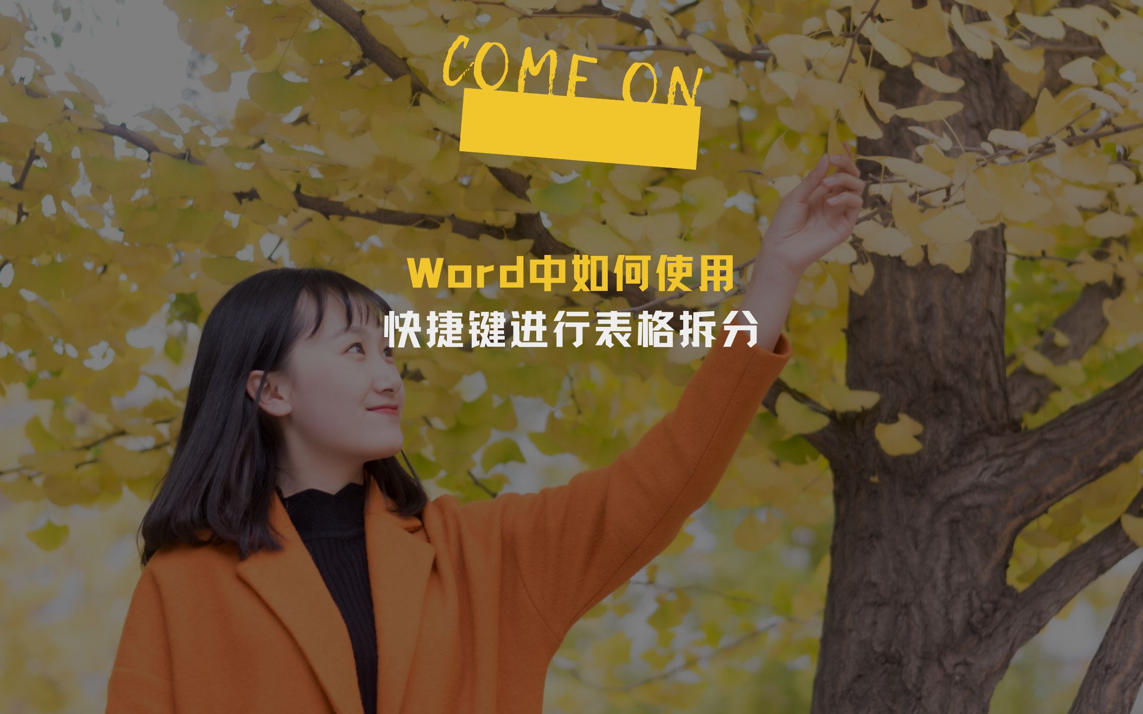 Word中如何使用快捷键进行表格拆分