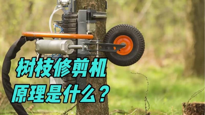 神奇的树木修剪机,堪称修理界的黑科技,原理是什么?