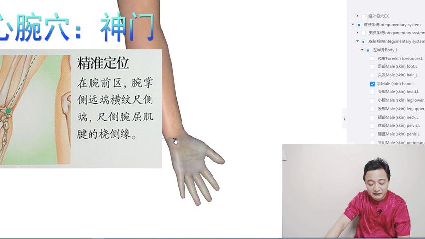 神门穴的定位和取穴