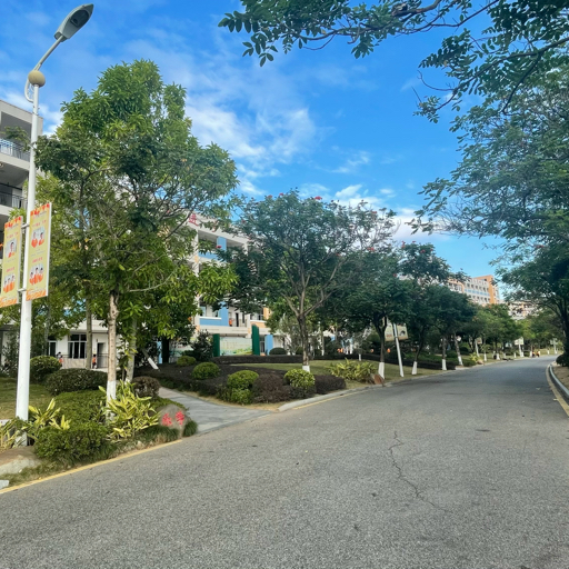 数学夫子 