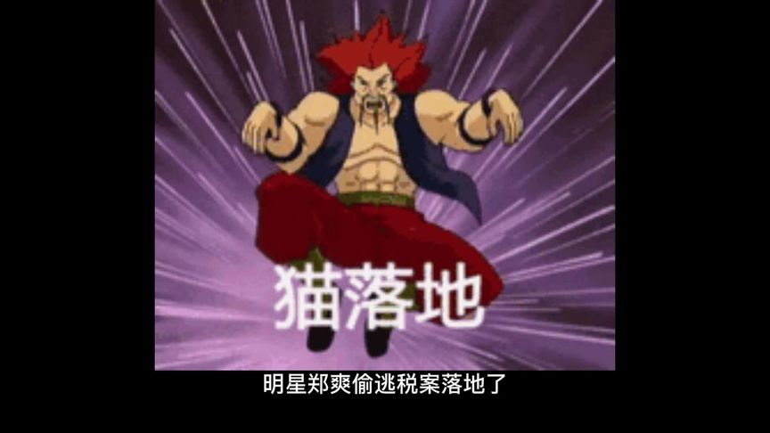 郑爽偷逃税,被罚2.99亿。#会计 #财务 #公司 #老板 #郑爽