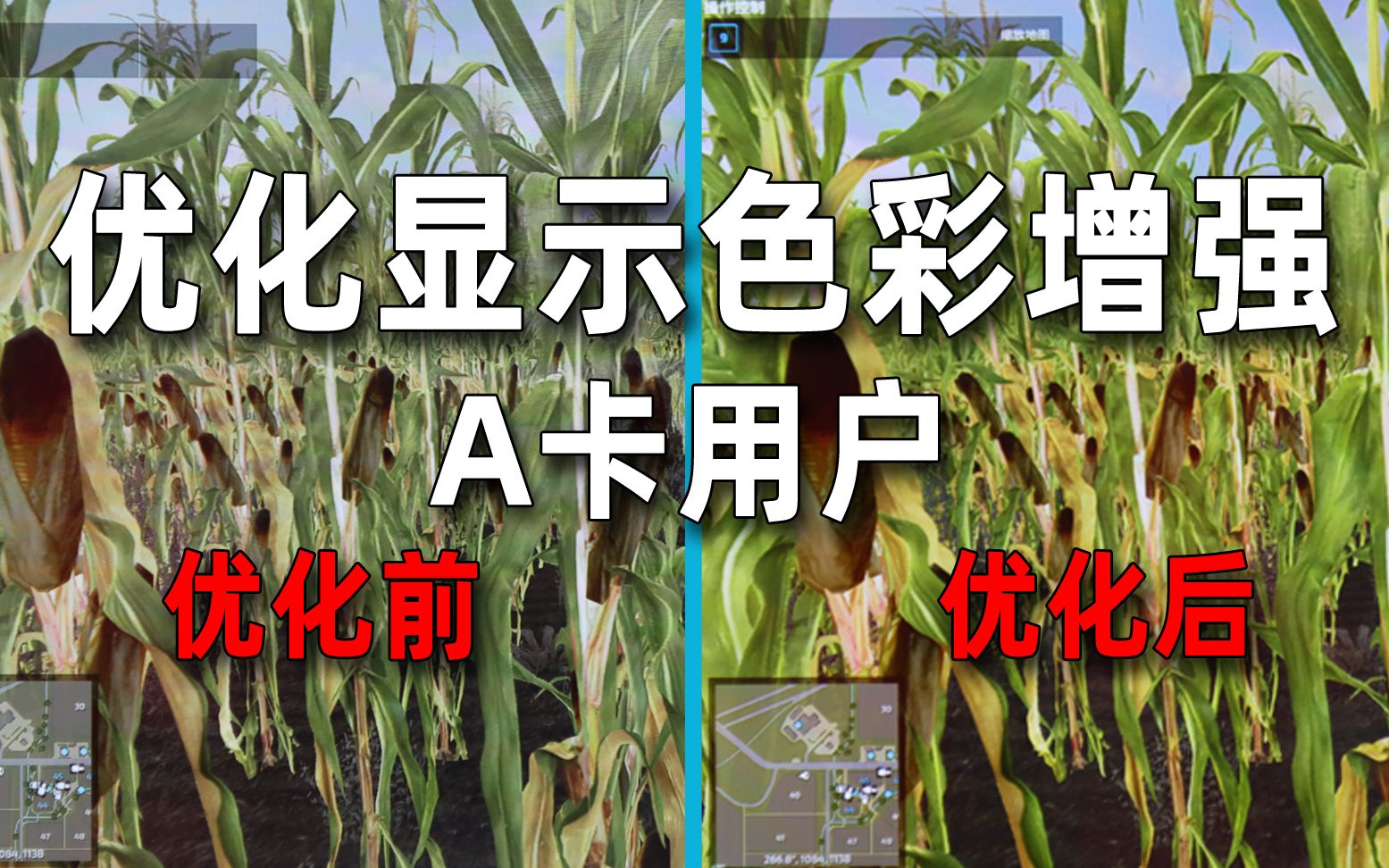 AMD显卡和AMD处理器一步优化增强画质,开启后草里的虫子都可以...