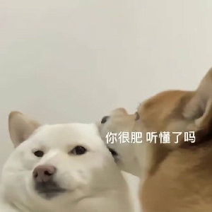 别电了 