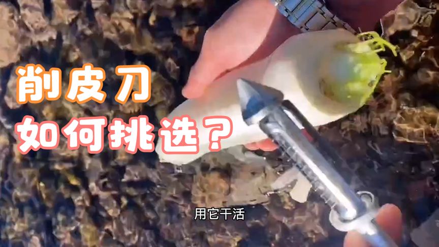 削皮神器,你还在使用原来的削皮器干活吗?