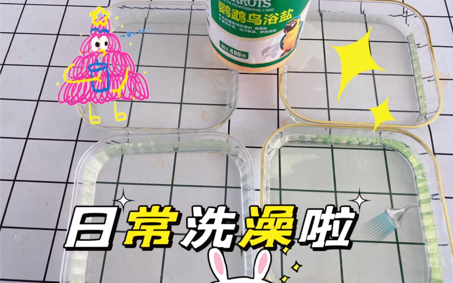 ...使羽毛更加美丽,同时可以洗去鹦鹉身上的细菌,起到预防疾病的作用。...