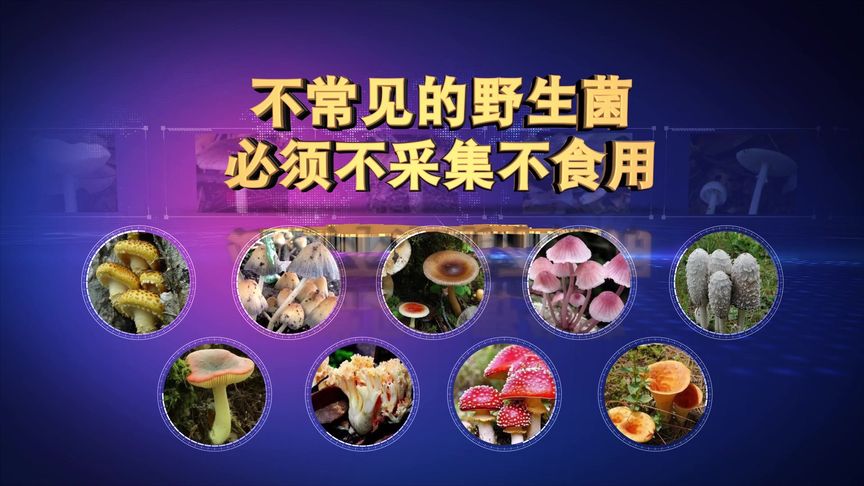 食菌须谨慎 小心防中毒#野生菌中毒#食品安全卫生