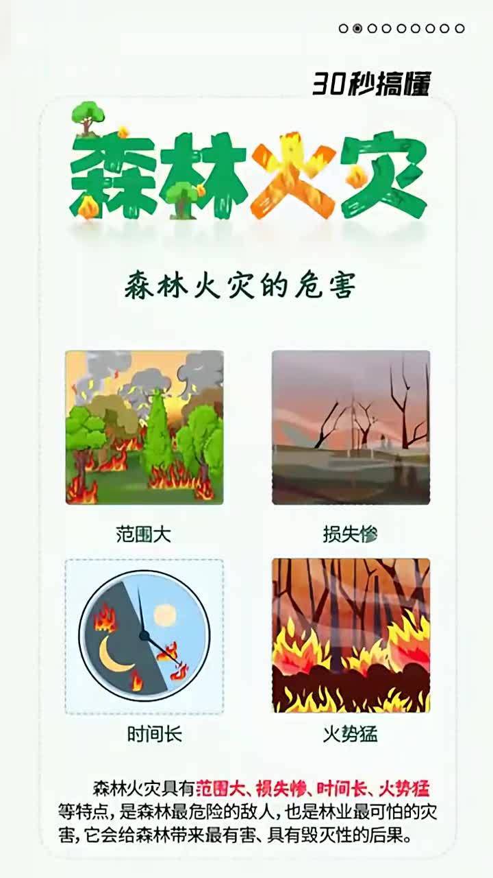 30秒搞懂森林火灾