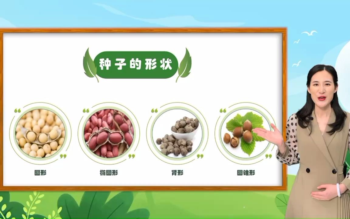 劳动教育劳动方案-知耕鸟劳动教育整套实施方案