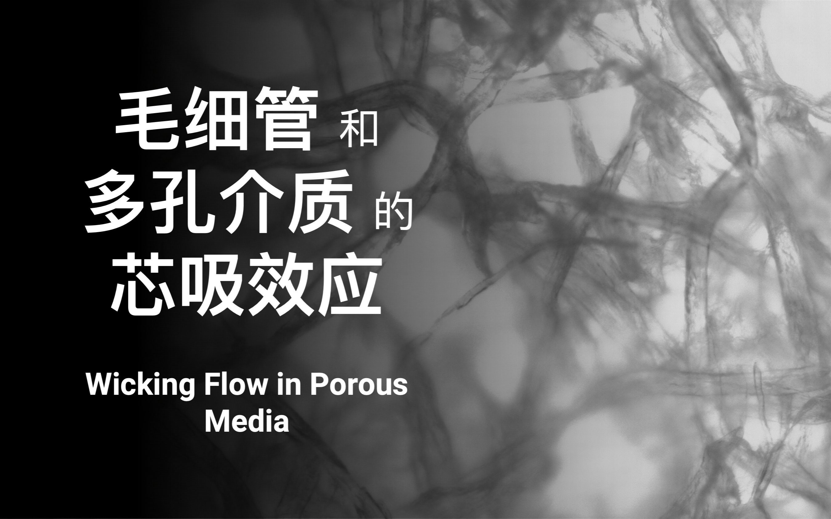 【界面与胶体科学】毛细管和多孔介质的吸水/芯吸效应 毛细现象 ...