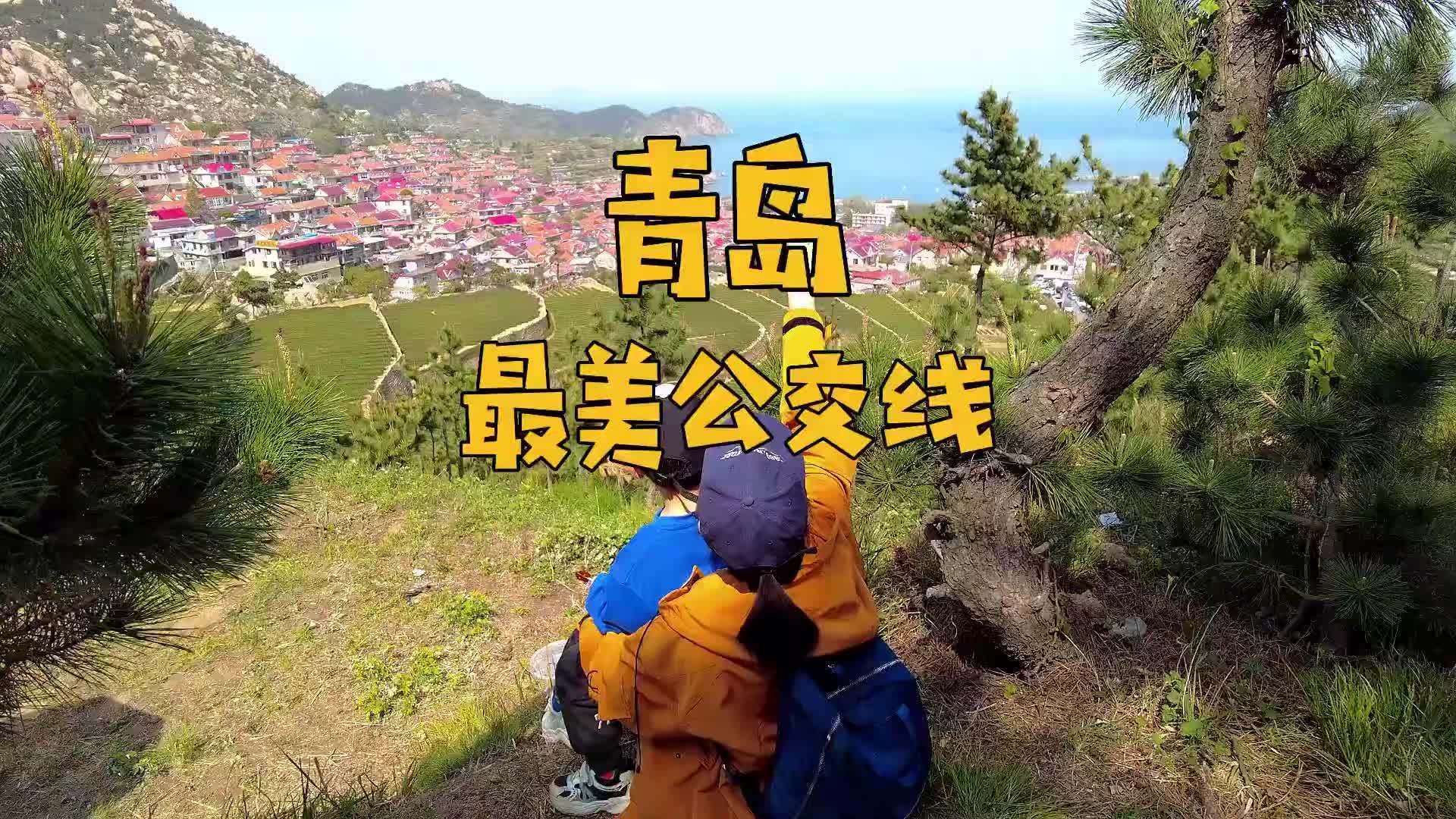 在青岛,有这样一条超美的环海公交线路-