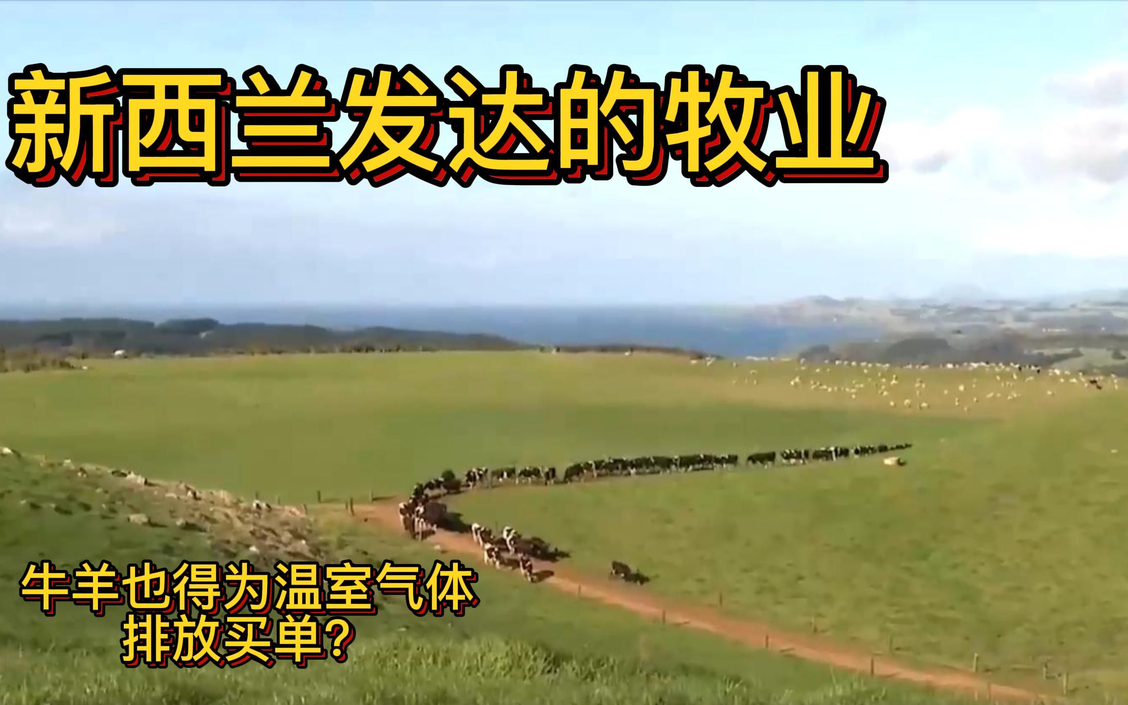 ...玩笑,只是对新西兰一个关于温室气体排放的法律提案的一个形象比喻。