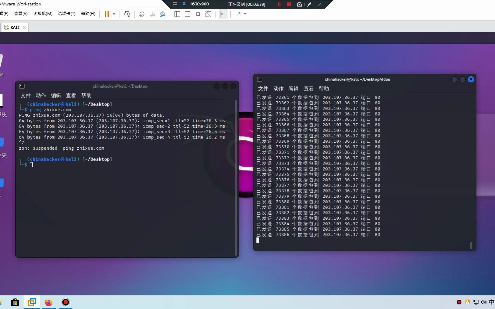 Kali Linux 使用DDOS攻击教学