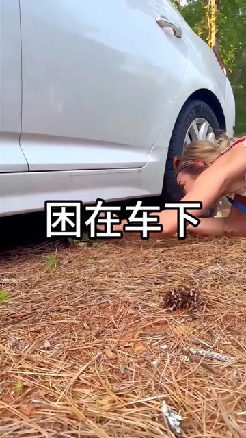 一旦汽车开动,小生命就交代在这里了