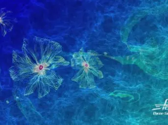 AE MIR插件效果:抽象水波纹元素,效果很赞!