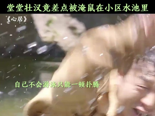 不敢想象小区业主群里的视频得有多好笑!