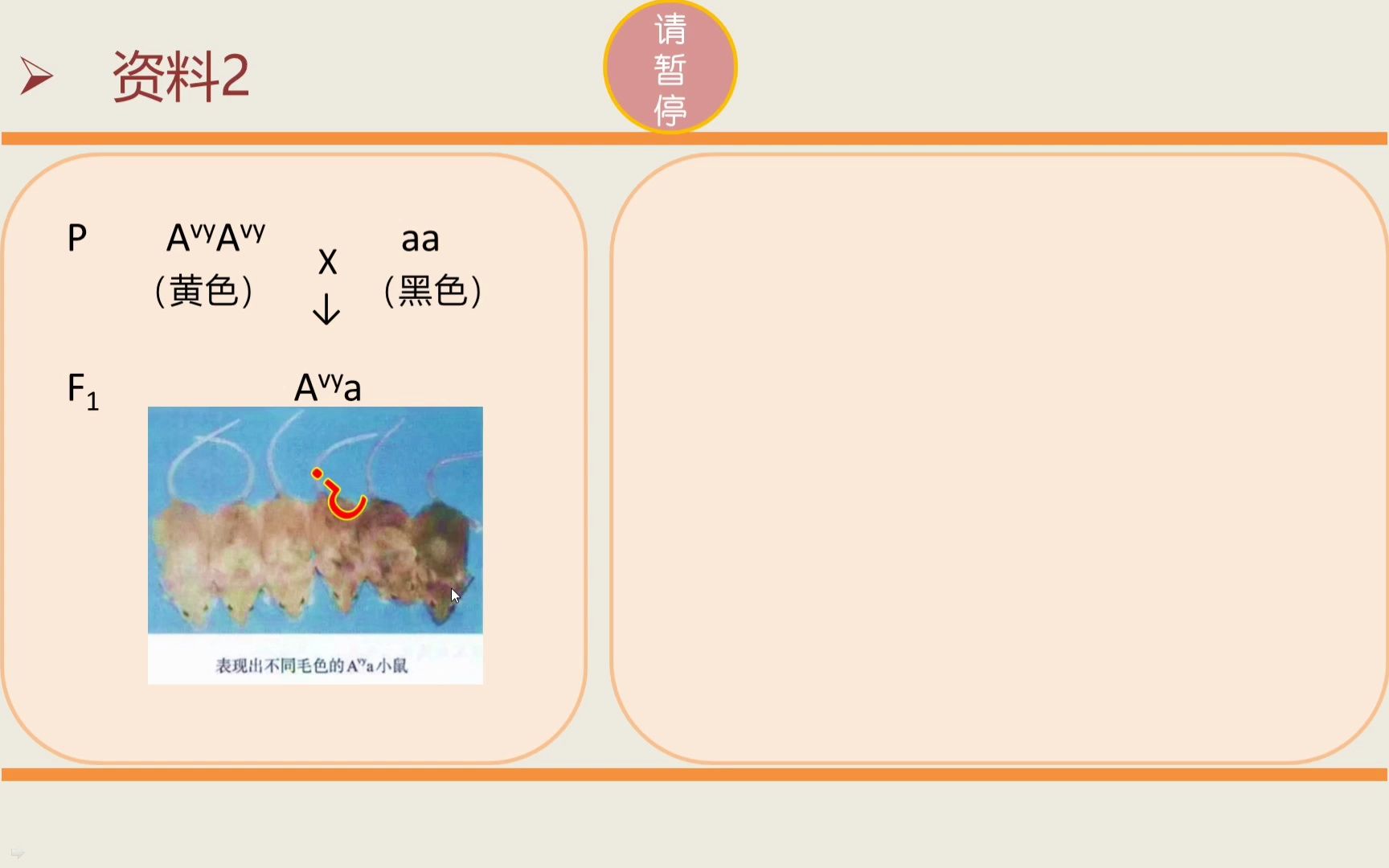 生物必修2《表观遗传》